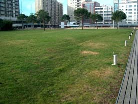 Parque Central da Maia | Câmara Municipal da Maia